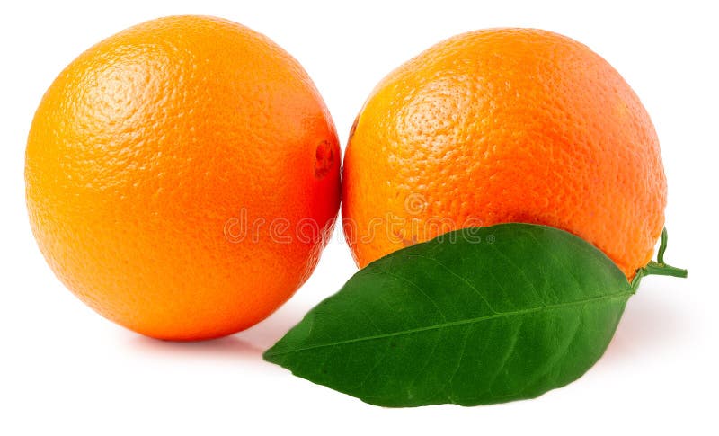 Two Oranges Isolated on White Background Stock Photo - Image of vitamin ...
