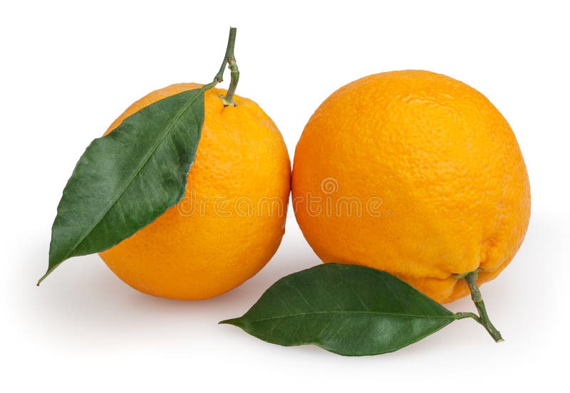 Oranges crate stock image. Image of background, leaf, citrus - 7542797