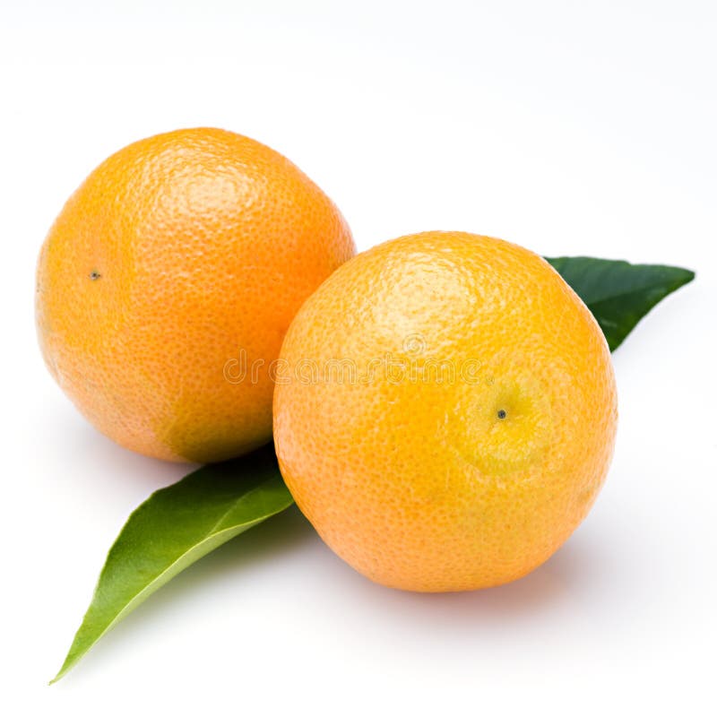 Two oranges on white. stock photo. Image of healthy, vibrant - 12839708