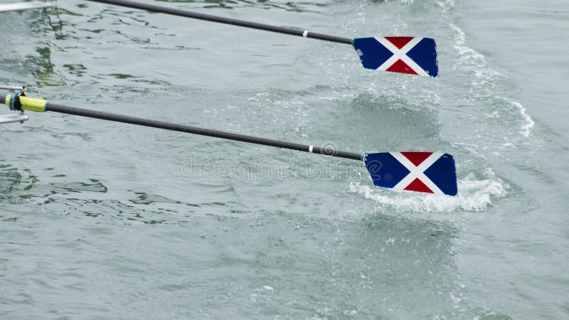 Rowing Ores Stock Photos - Free & Royalty-Free Stock Photos from Dreamstime