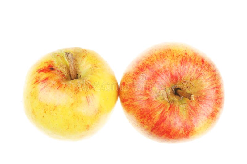 Two organic apples stock photo. Image of isolated, crop - 11147602