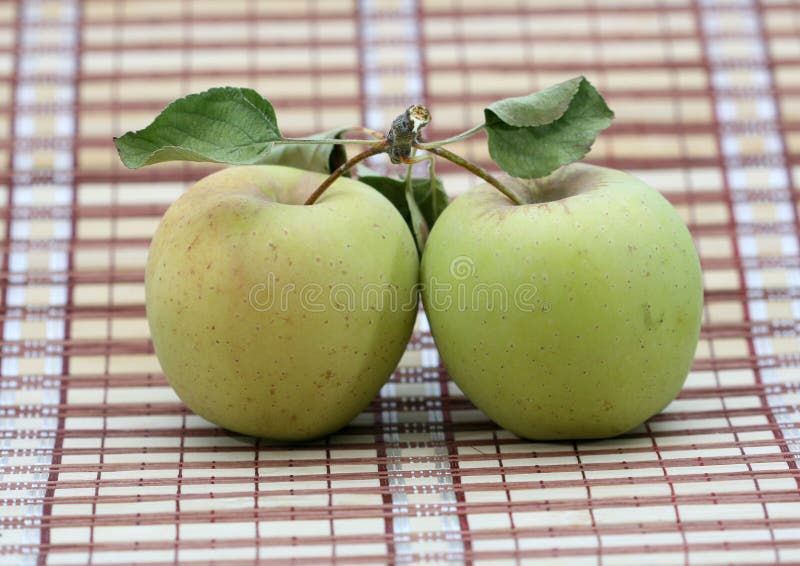 Two organic apples stock photo. Image of nutritious, fruit - 27138066