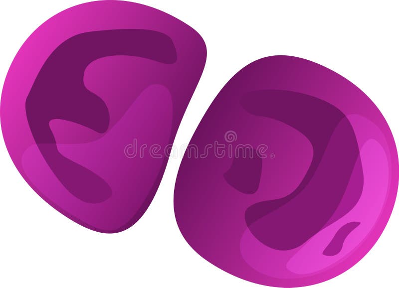 Two Overlapping Purple Abstract Shapes Create a Modern and Vibrant ...