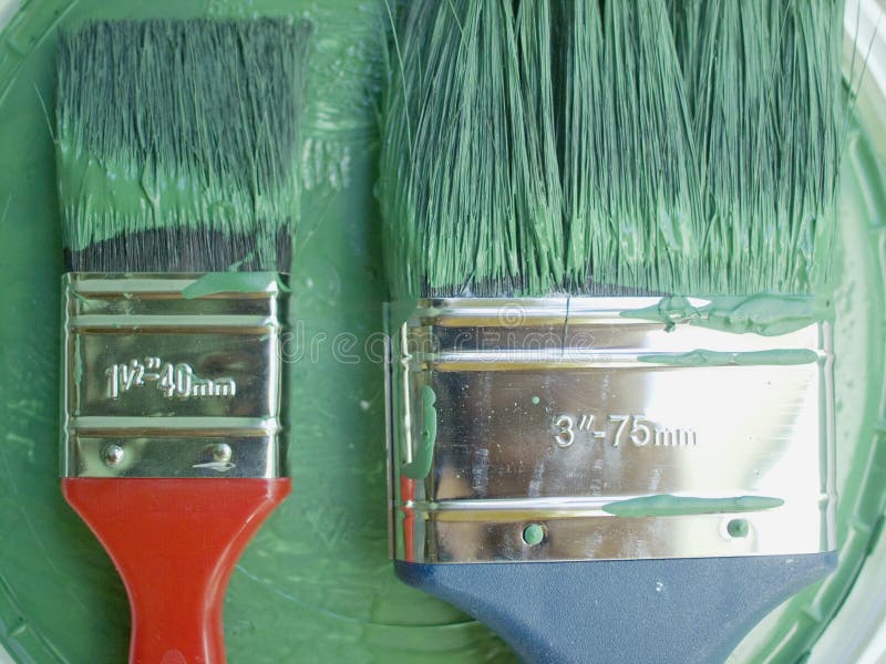 Two Paintbrush in Green Tint Stock Photo - Image of builder, paintbrush ...