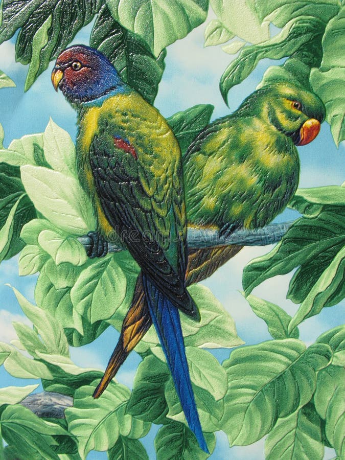 Two painted parrots stock photo. Image of background - 11136828