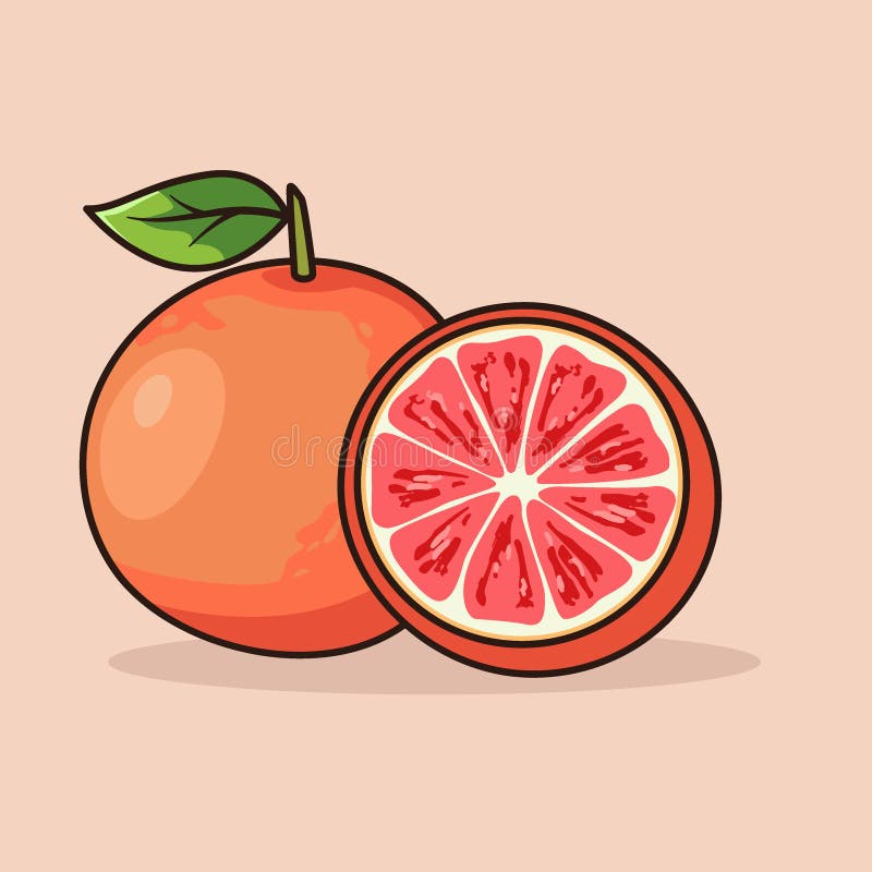 Blood Orange Drawing Stock Illustrations – 1,126 Blood Orange Drawing ...