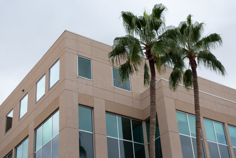 Corner of a Modern Office Building with Tinted Windows and 2 Trees ...