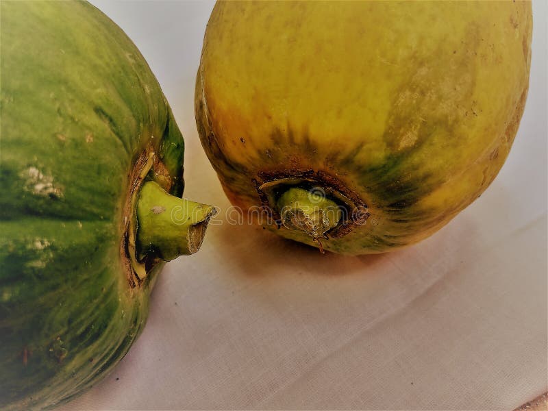 Two Papaya Side by Side and Isolated. Stock Photo - Image of natural ...