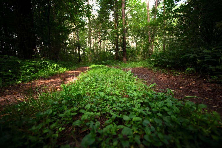 256 Parallel Paths Stock Photos - Free & Royalty-Free Stock Photos from ...