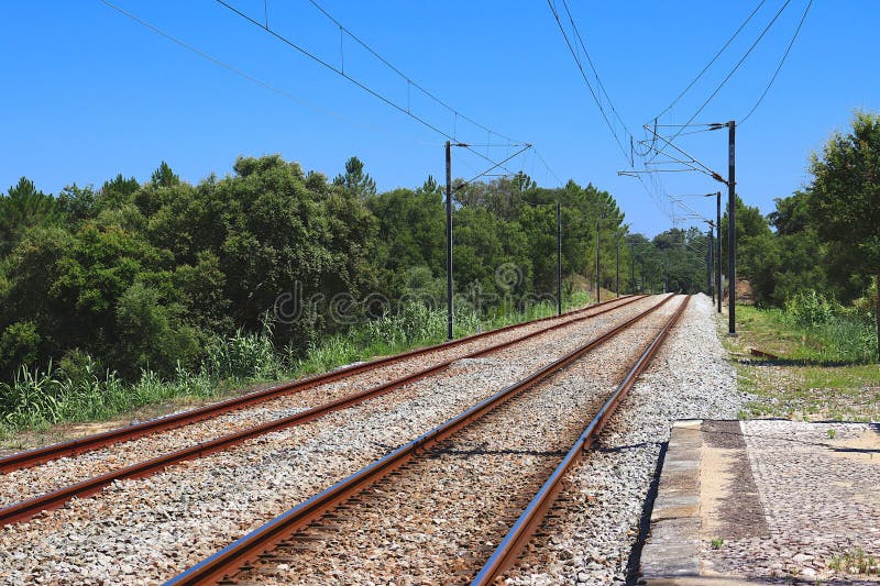 Two Parallel Railway Tracks Running through a Wooded Area, with Trees ...
