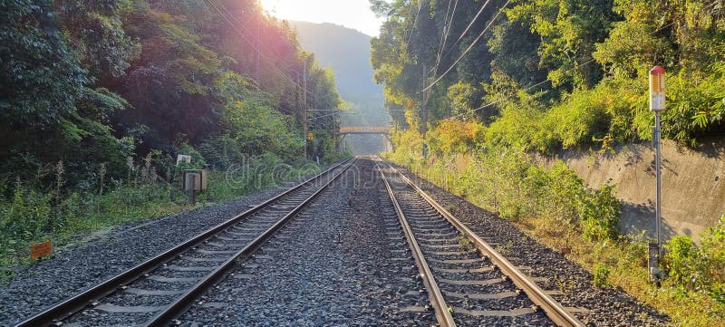 Two Parallel Train Tracks Stretch into the Distance, Disappearing into ...