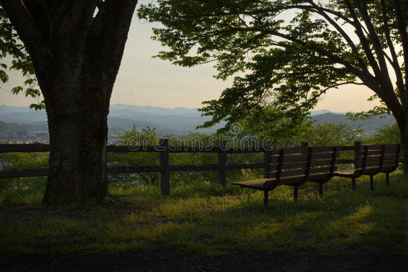 Two Park Benches with Scenic Overlook Stock Photo - Image of green ...