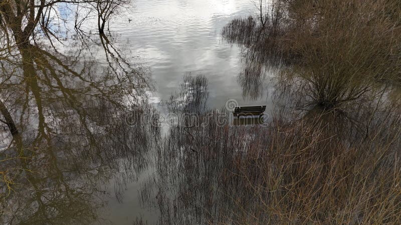 Two Park Benches in Water with Trees Reflected on Surface of Lake Stock ...