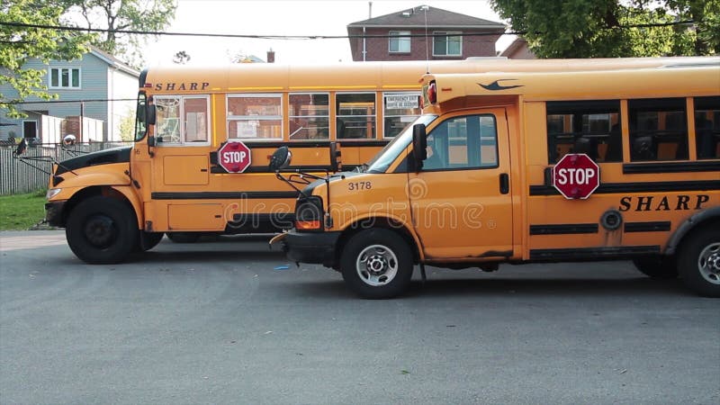 Two Parked Sharp Yellow and Black School Buses with Black Stripes Shot ...