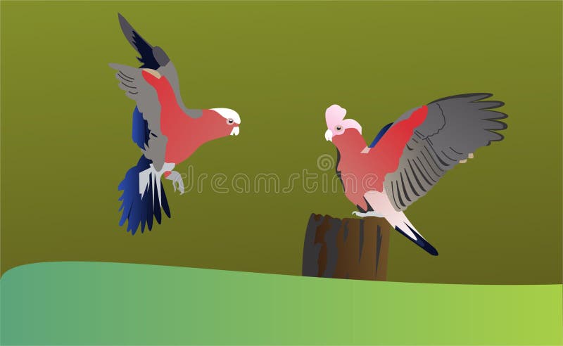 Two parrots stock illustration. Illustration of mating - 95709167