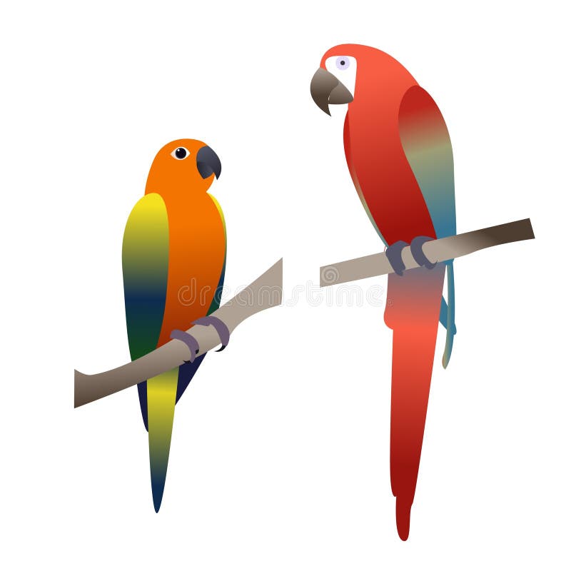 Two Parrots Sitting on a Branch, Flat Vector Illustration. Stock Vector ...