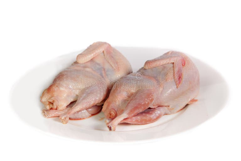 Two partridge fresh birds stock image. Image of legs - 28423205