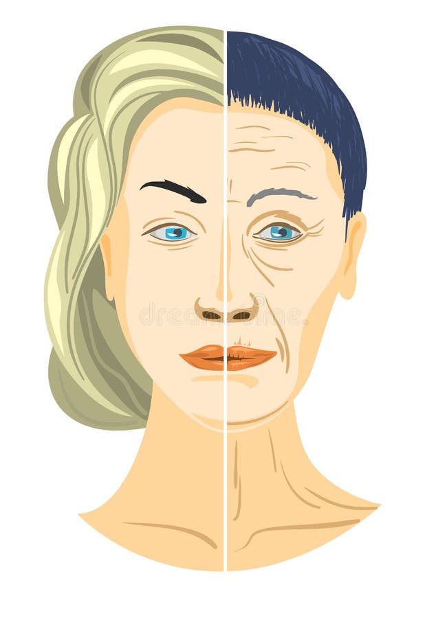 Sagging Face Skin Stock Illustrations – 110 Sagging Face Skin Stock ...