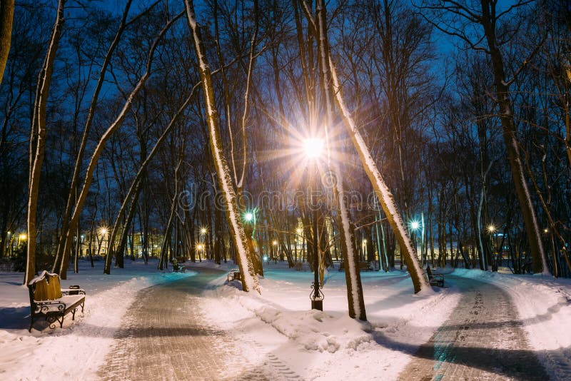 Two Path, Way in Snowy City Park in Light of Lanterns at Evening Stock ...