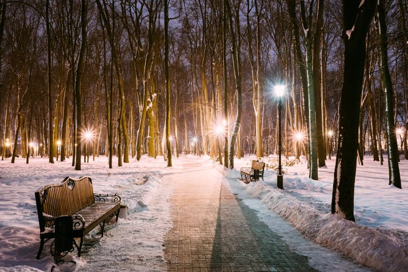Snowy Path, Road, Way or Pathway in Winter Forest Stock Photo - Image ...