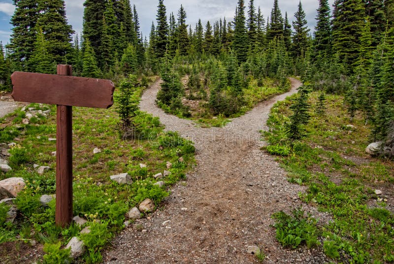 Two Paths With Blank Sign stock photo. Image of hiking - 27044800