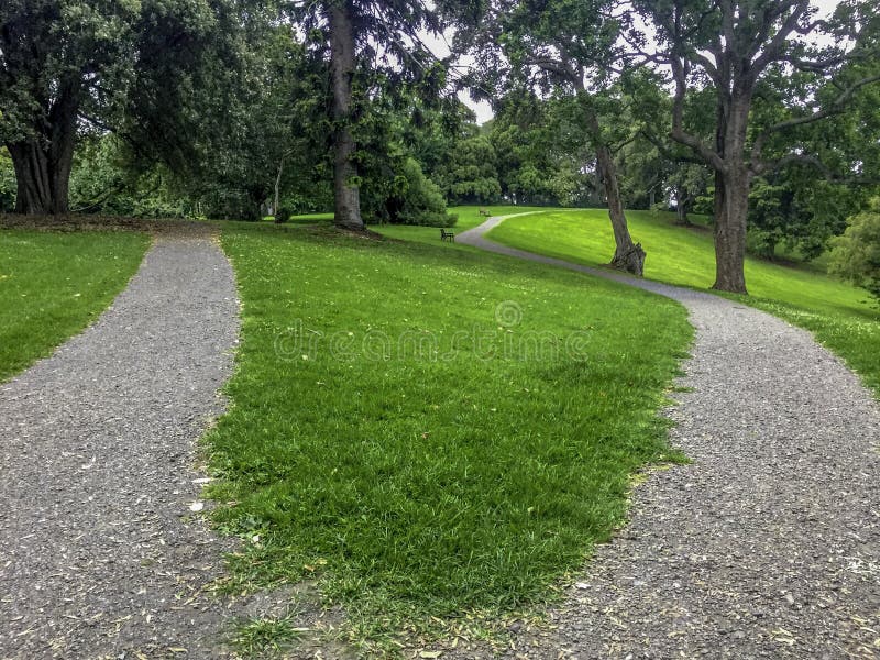 Two Paths Branching at Park Stock Photo - Image of road, future: 154068014