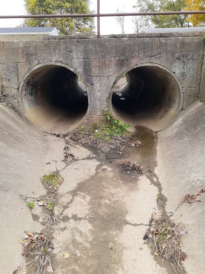 Two paths in every life stock photo. Image of wheel - 233479590