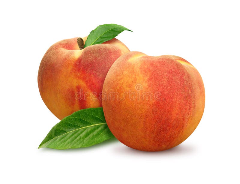 Peach Png Stock Photos - Free & Royalty-Free Stock Photos from Dreamstime