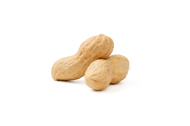 Two Peanuts Sitting on a White Background Stock Image - Image of health, white: 327234121