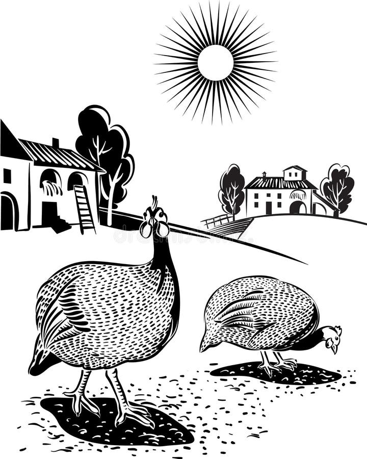 Pharaoh Hens Stock Illustrations – 2 Pharaoh Hens Stock Illustrations ...