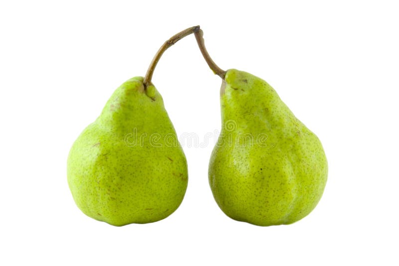 Two pears stock photo. Image of nutrition, fruit, juicy - 1312892
