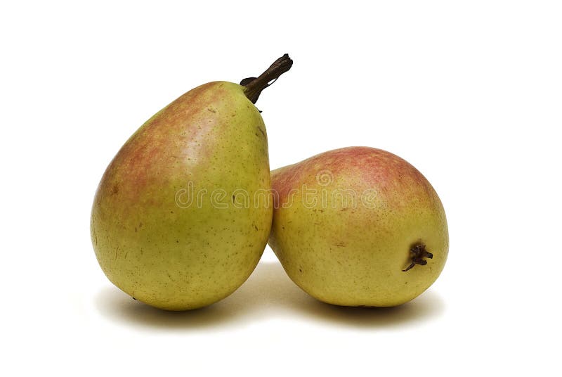 Two pears. stock image. Image of juice, white, juicy - 13243159