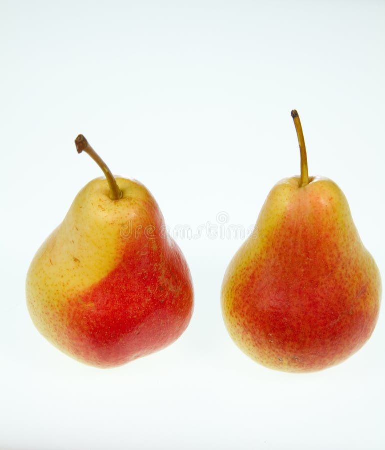 Two pears in still-life stock image. Image of organic - 8468203