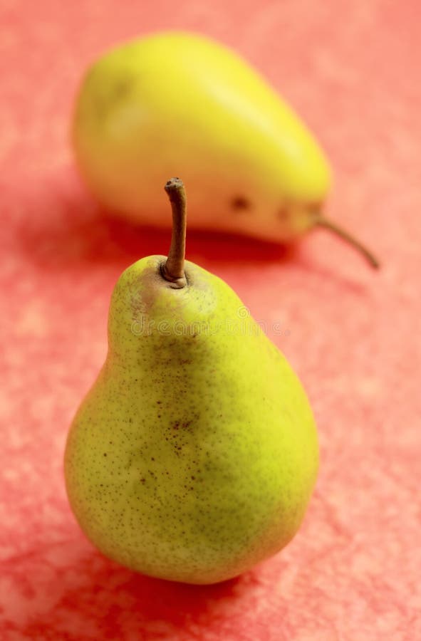Two pears stock photo. Image of fresh, pair, food, focus - 16399646