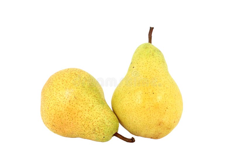 Two pears stock photo. Image of fruit, sweet, closeup - 20302982