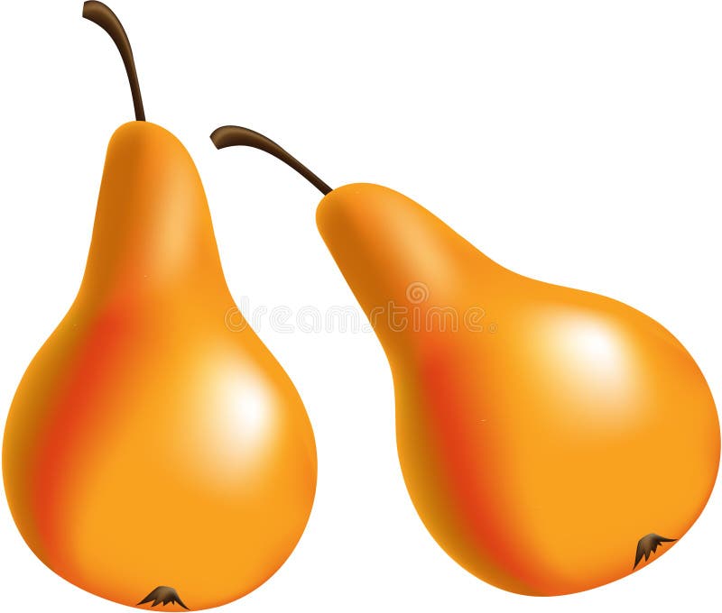 Two pears stock vector. Illustration of natural, diet - 21879319