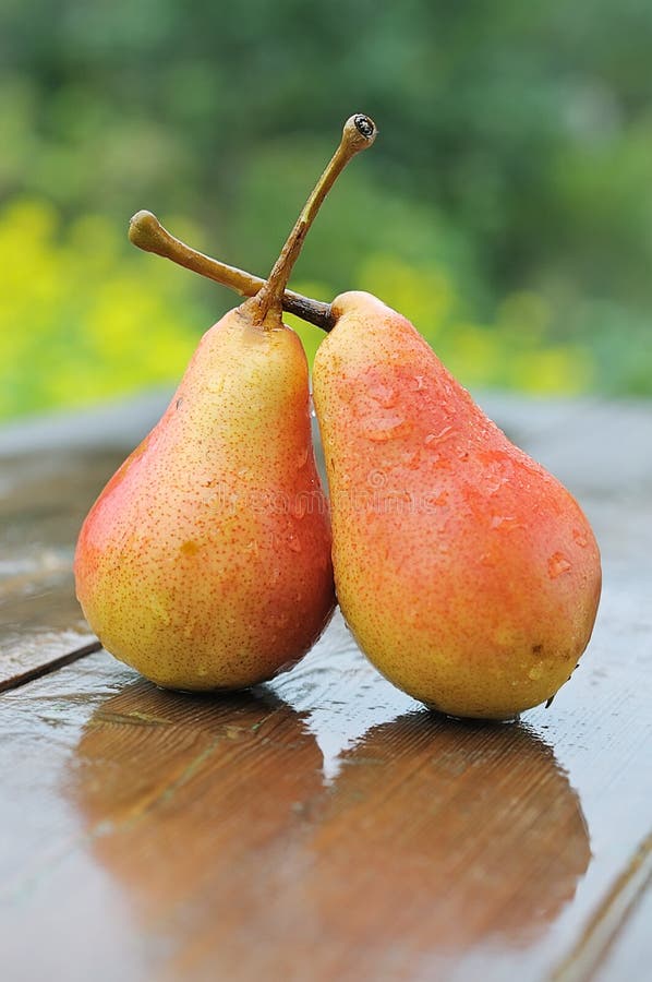 Two pears. stock photo. Image of fruit, wooden, healthy - 22135434