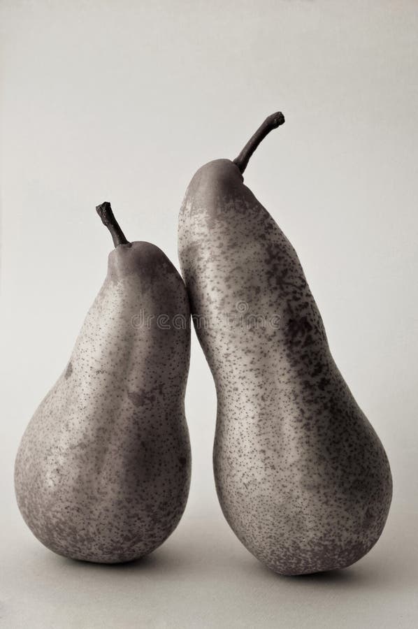 Two pears stock image. Image of bright, ripe, shot, healthy - 26770453