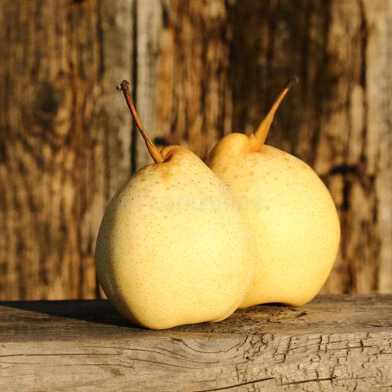 Two pears stock image. Image of fruit, glass, pear, organic - 6791491