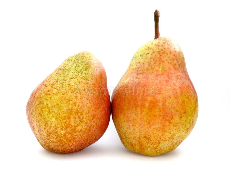 Two pears closeup stock image. Image of tasty, healthy - 39109099