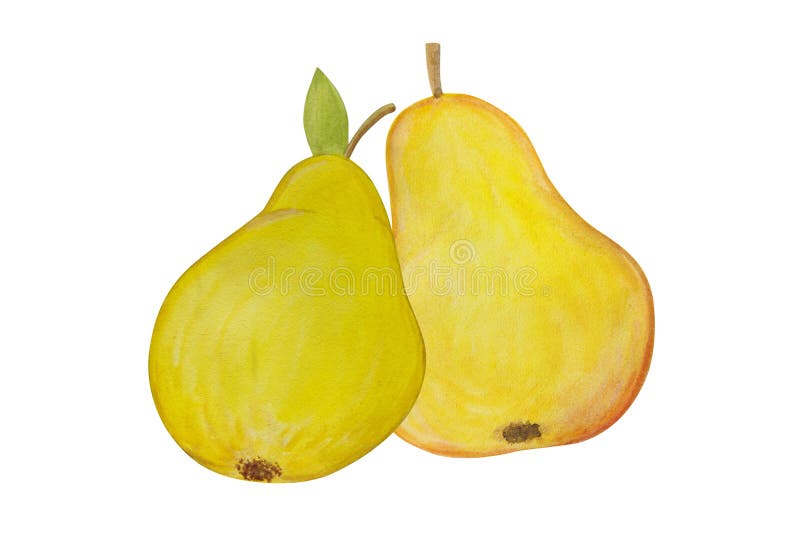 Two Pears Stock Illustrations – 639 Two Pears Stock Illustrations ...