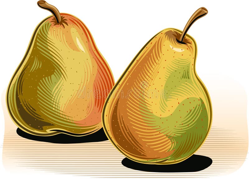 Two Pears Stock Illustrations – 639 Two Pears Stock Illustrations ...
