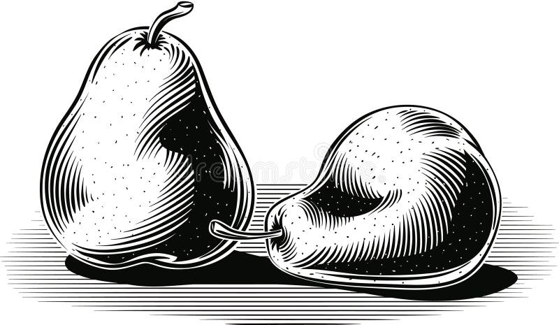Two Pears Stock Illustrations – 639 Two Pears Stock Illustrations ...