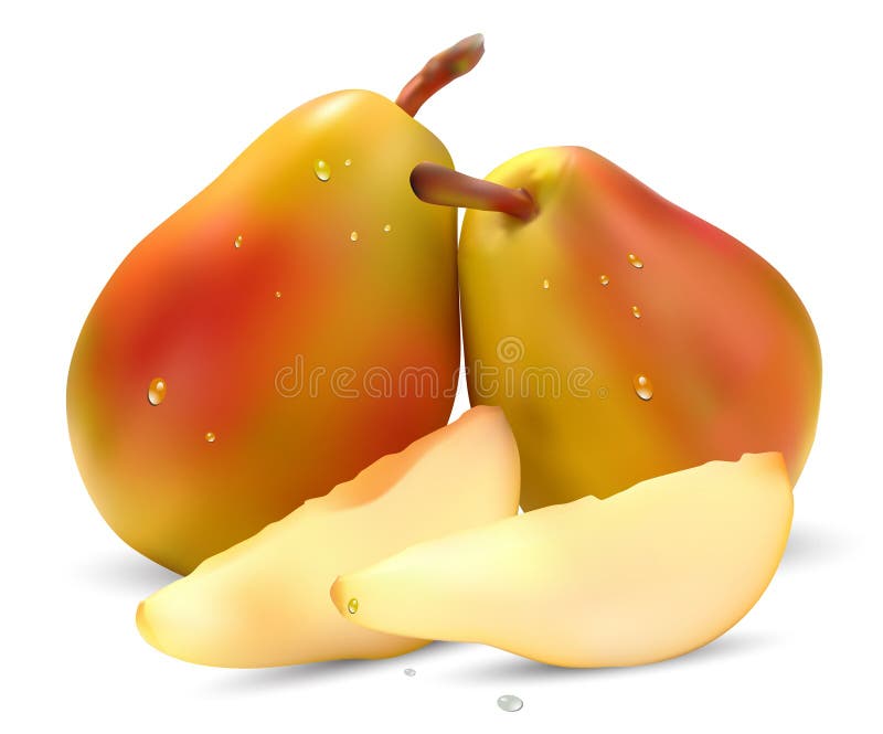 Two Pears Stock Illustrations – 516 Two Pears Stock Illustrations ...