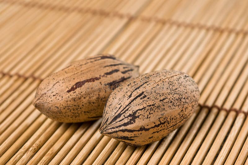 Two pecan nuts, close up. stock photo. Image of organic - 9274676