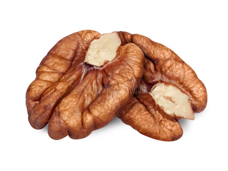 One Pecan Nut Isolated on White Stock Photo - Image of delicious, brown ...