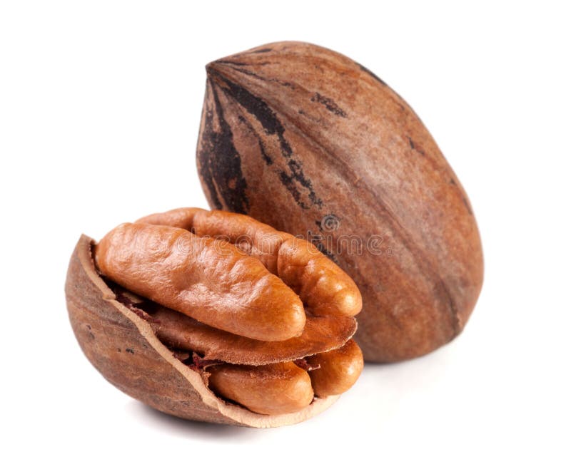 Two Pecan Nuts Isolated on White Background Stock Photo - Image of ...