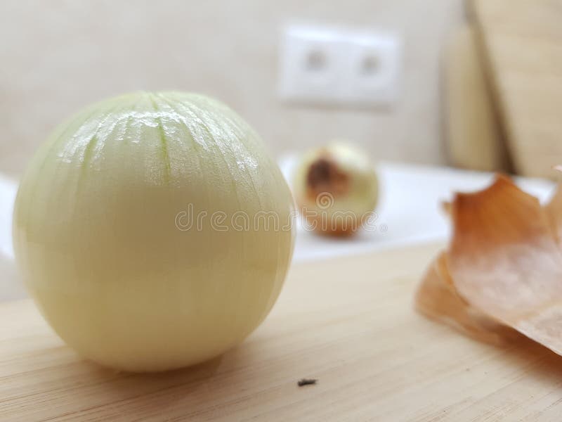 Two peeled onions stock photo. Image of food, bright - 136201070