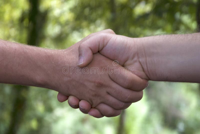 Handshake stock image. Image of formal, future, congratulation - 102060141