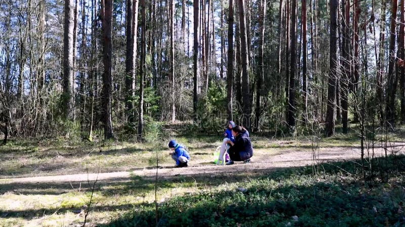 Exploring a Serene Forest Trail with a Child while Collecting Nature ...